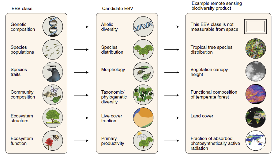 Satellite remote sensing BIOMAC